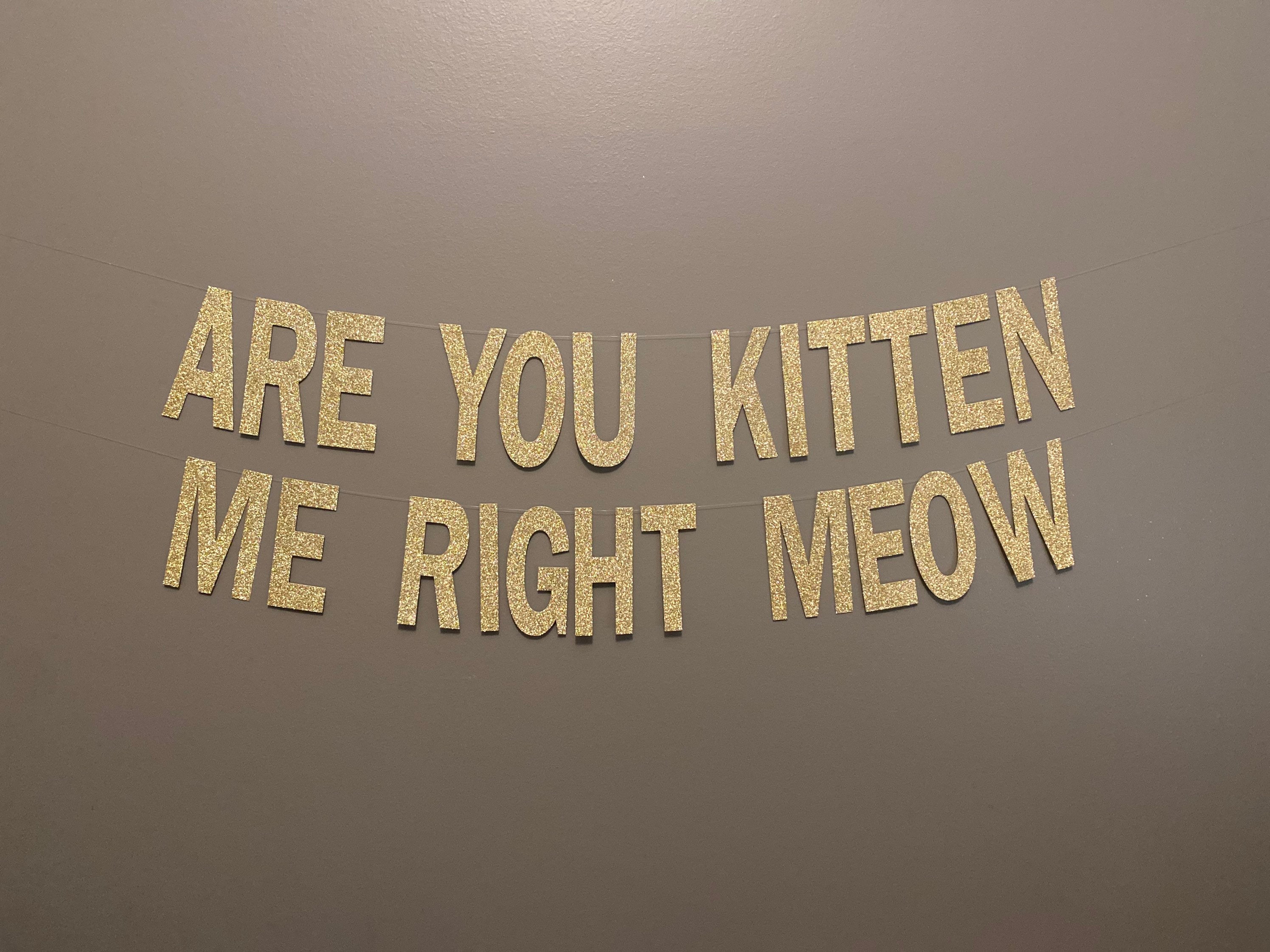 Are You Kitten Me Right Meow Banner Kitten Me Right Meow | Etsy