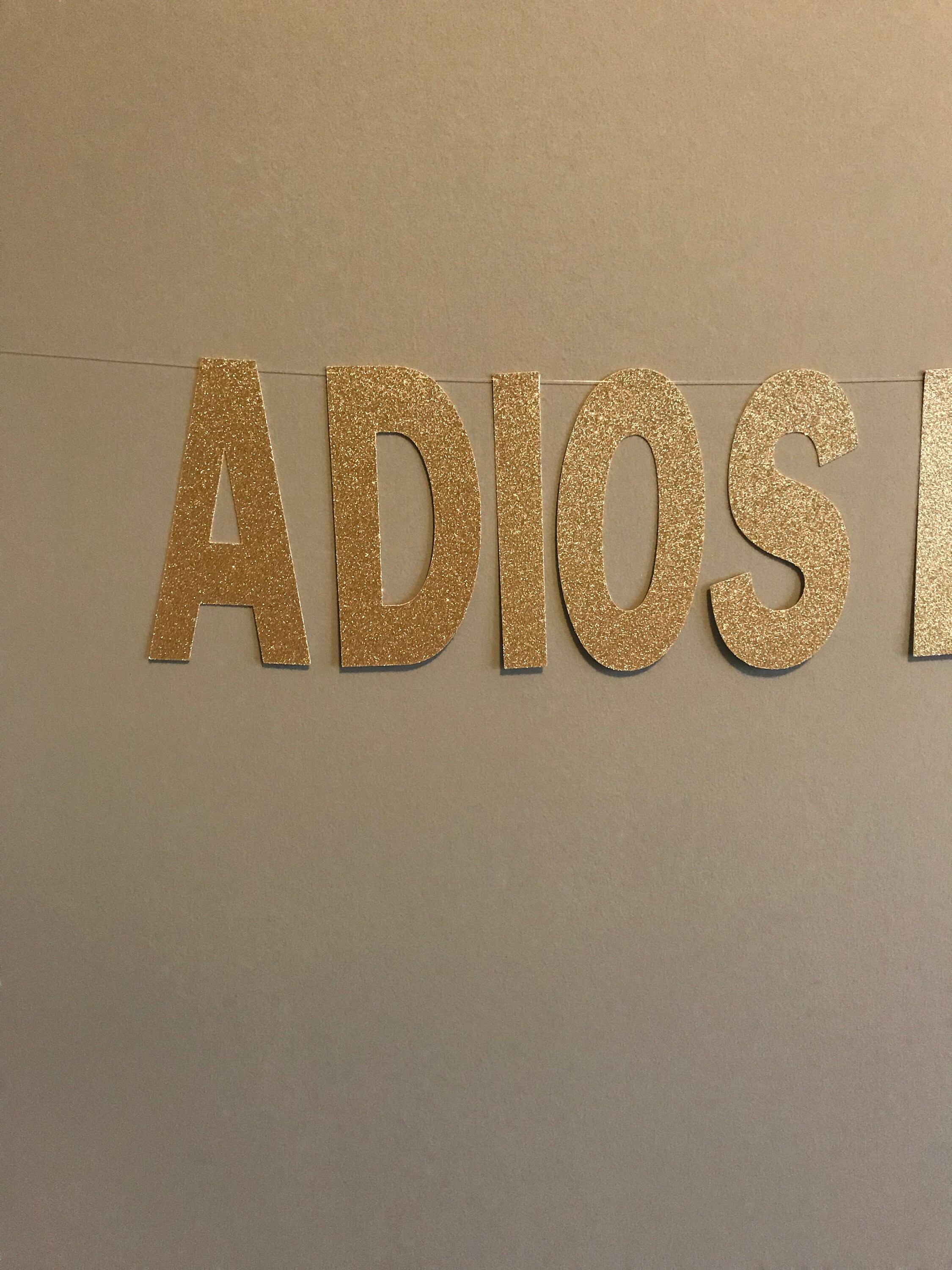 Adios Bitchachos Banner Fiesta Party Decorations Bunting - Etsy Canada