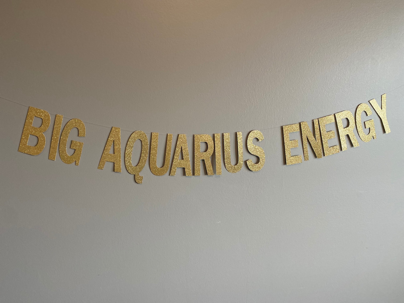 21st Birthday Decorations Big Aquarius Energy Banner - Etsy