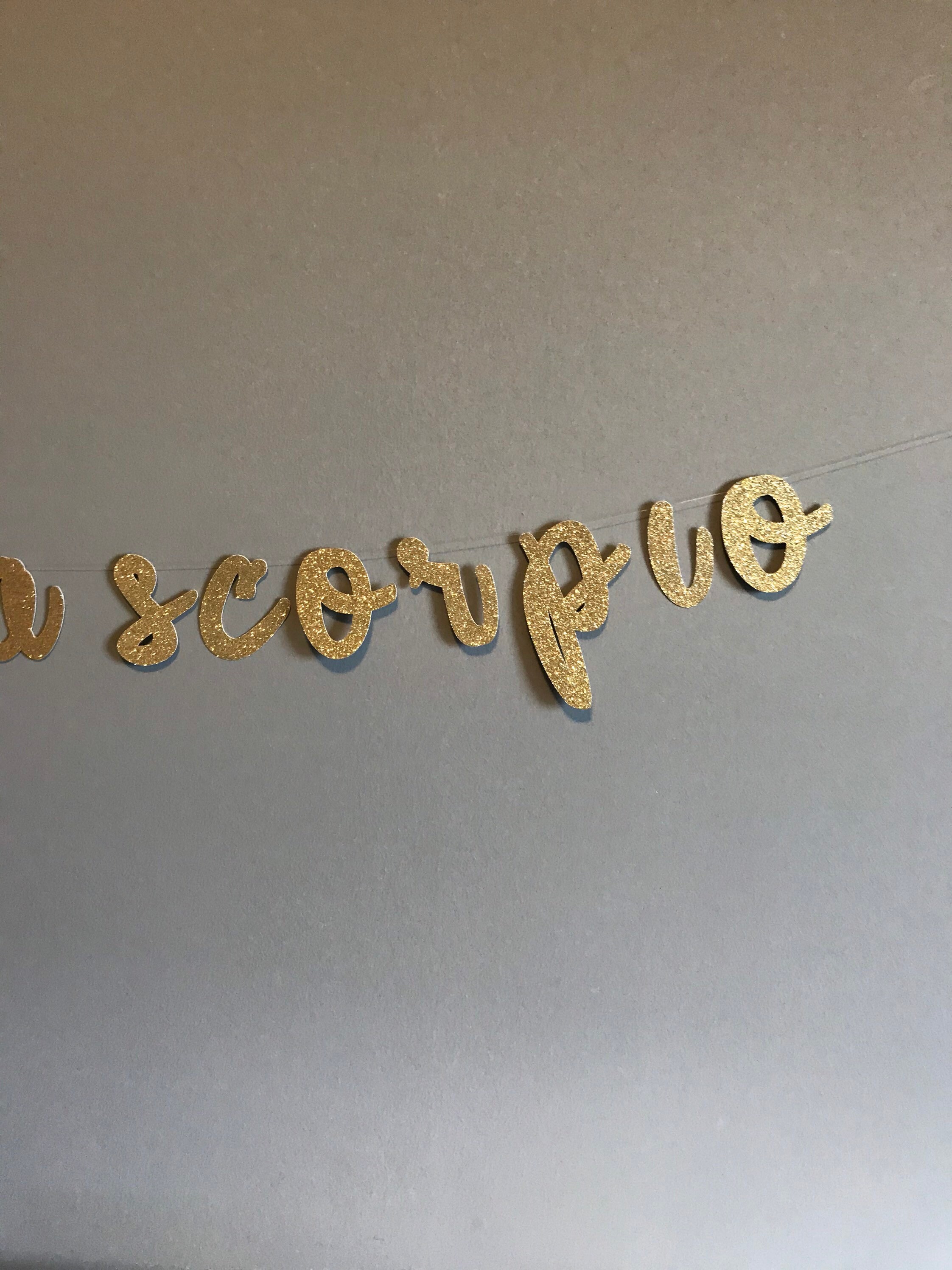 Scorpio Birthday Scorpio Party Decorations Zodiac Birthday - Etsy