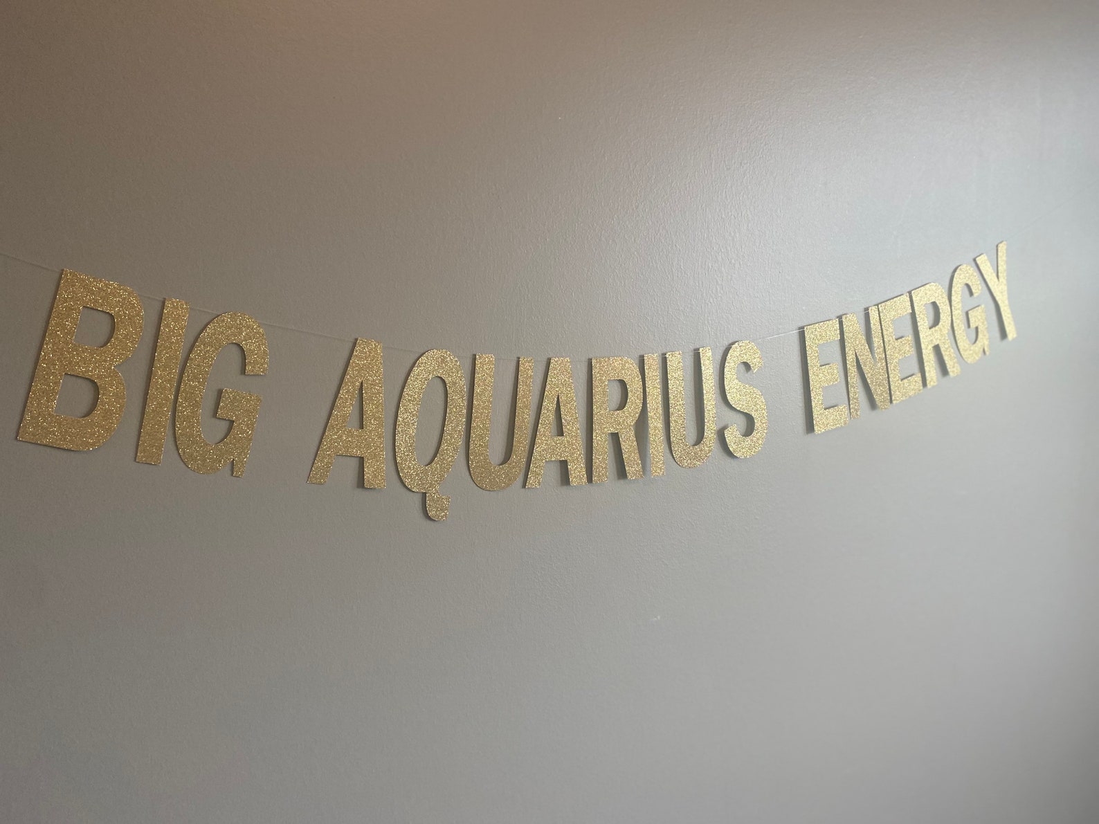 21st Birthday Decorations Big Aquarius Energy Banner - Etsy
