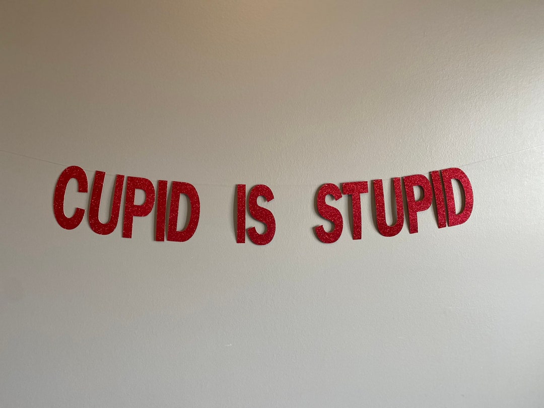 Cupid is Stupid Banner, Cupid is Stupid, Galentines Day Banner, Anti ...