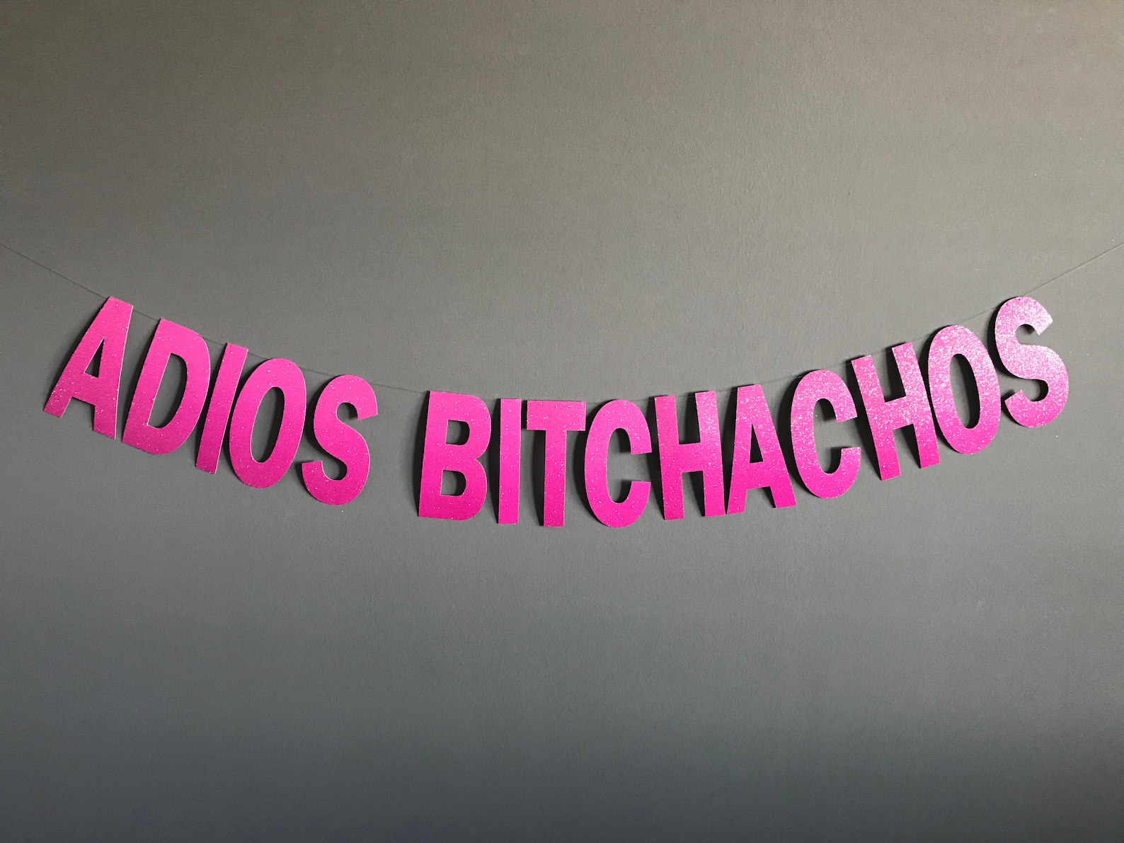Adios Bitchachos Banner Fiesta Party Decorations Bunting - Etsy Canada