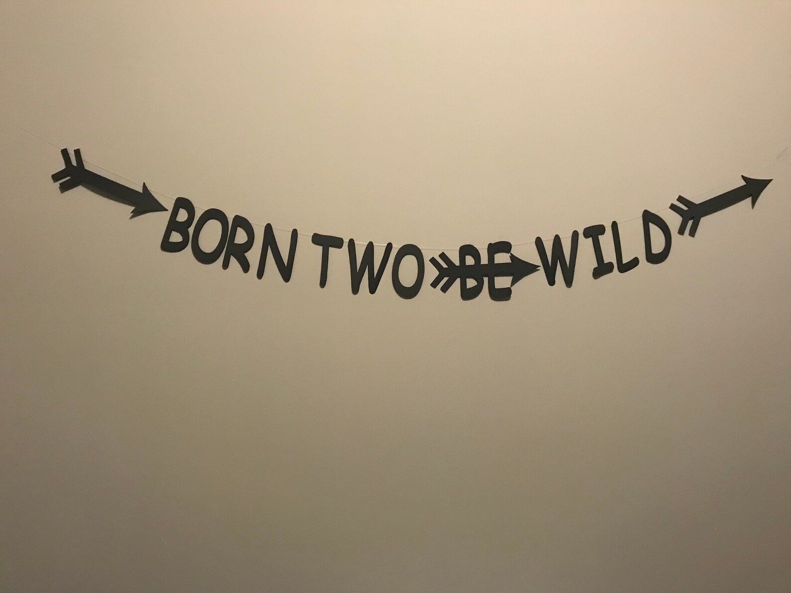 Born Two Be Wild Banner Second Birthday Banner Born to Be - Etsy