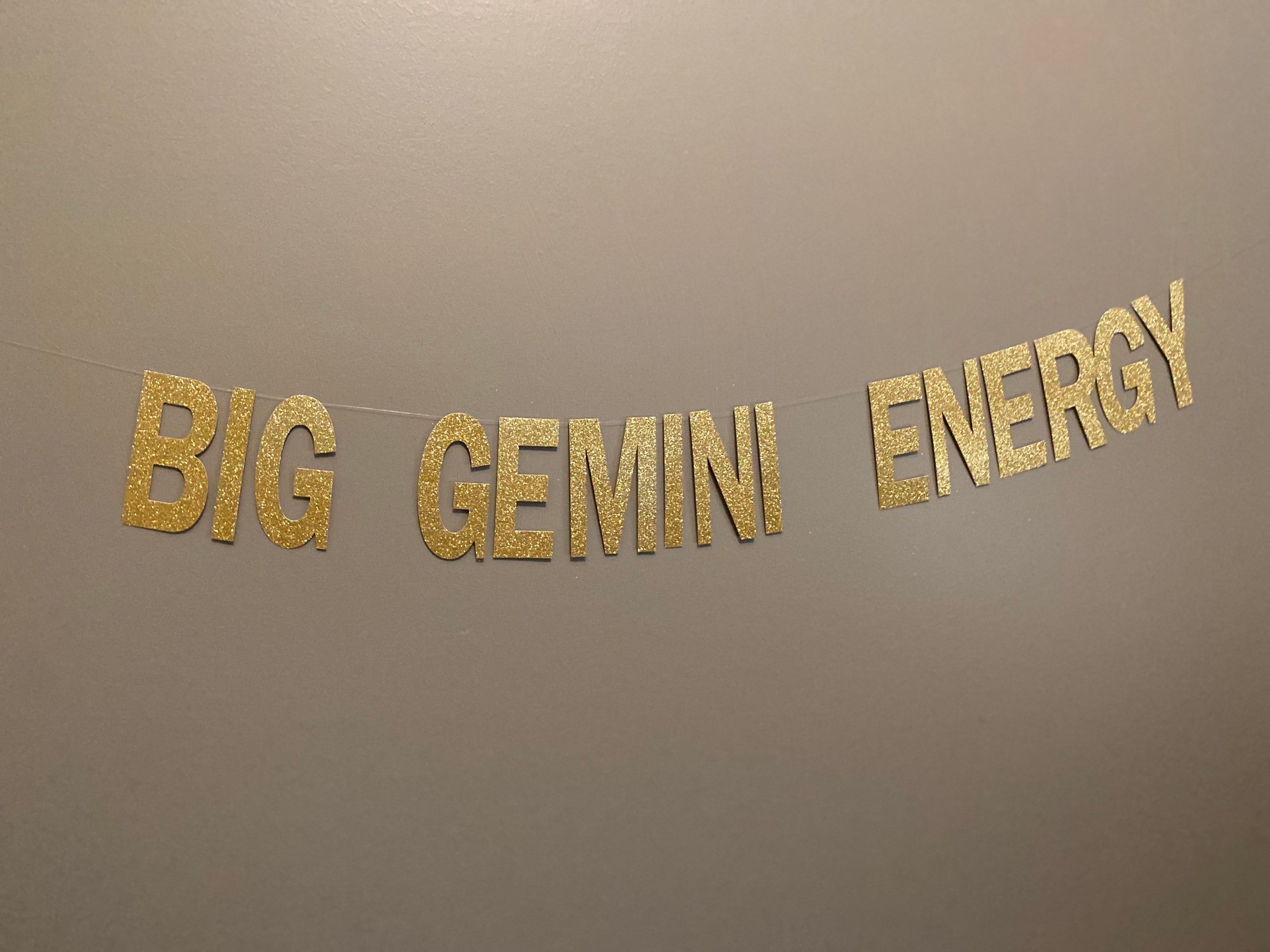 Big Gemini Energy Banner, Birthday Banner, Birthday Party Decor, Zodiac ...