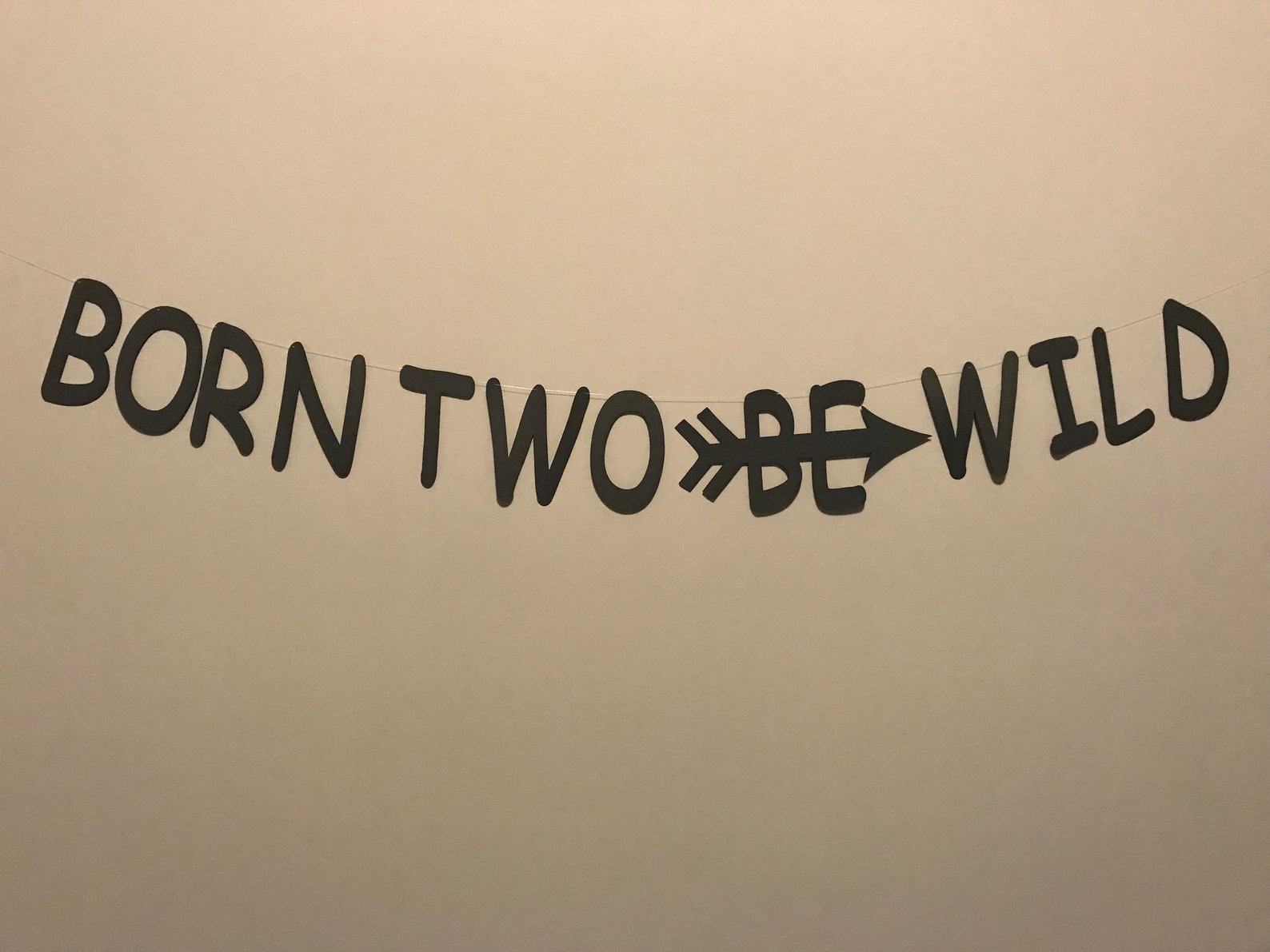 Born Two Be Wild Banner Second Birthday Banner Born to Be - Etsy