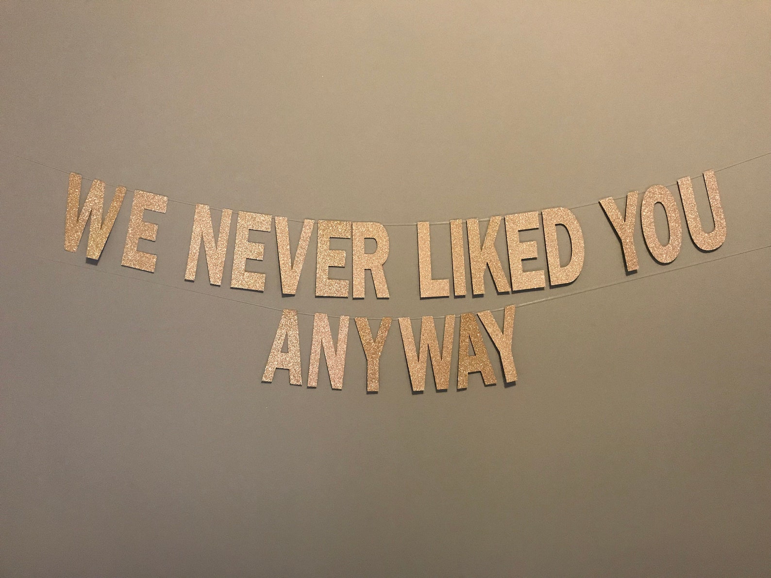 We Never Liked You Anyway Glitter Banner: Rude Retirement, Divorce ...