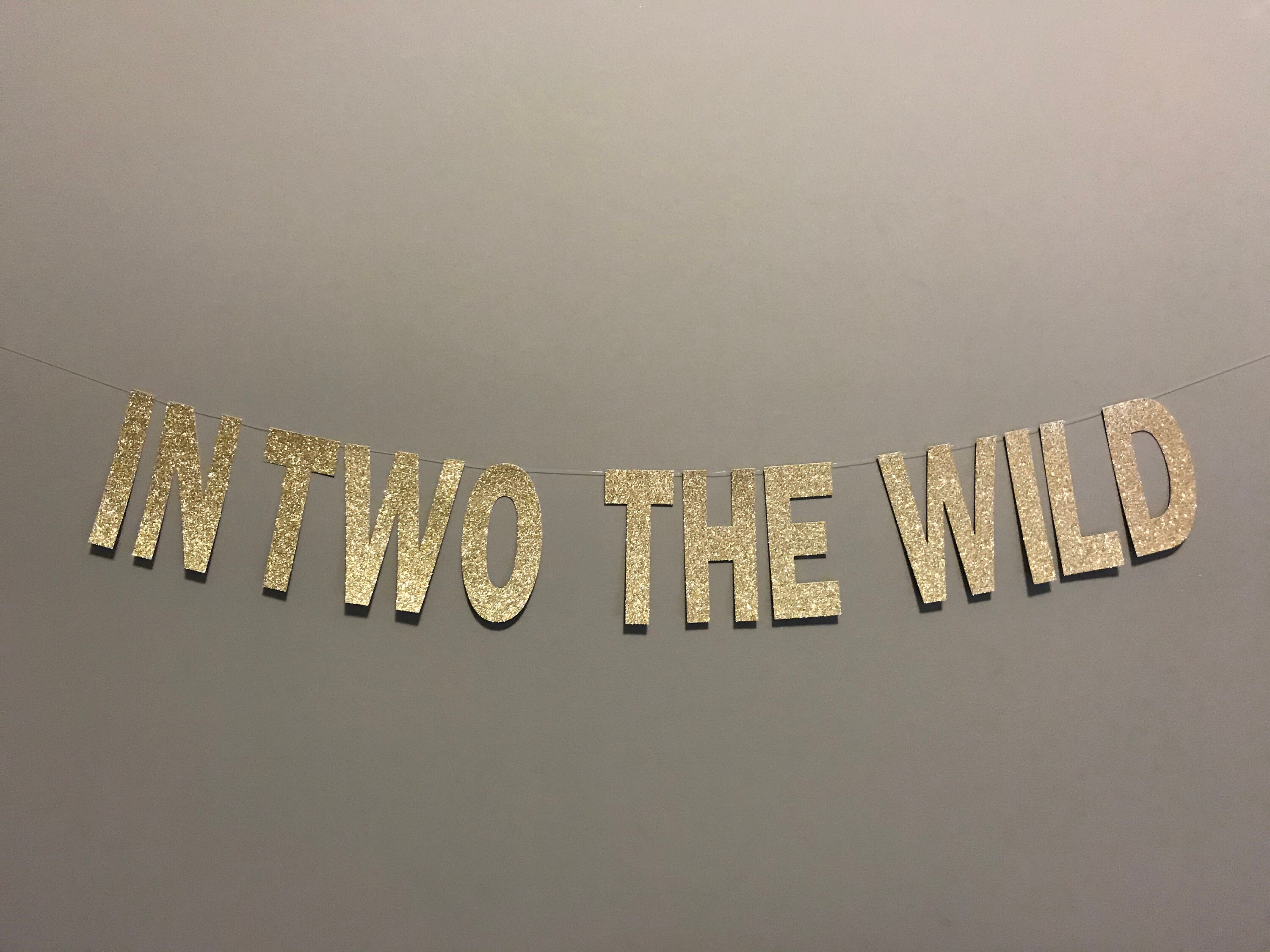 In Two The Wild Banner Second Birthday Banner Wilderness | Etsy