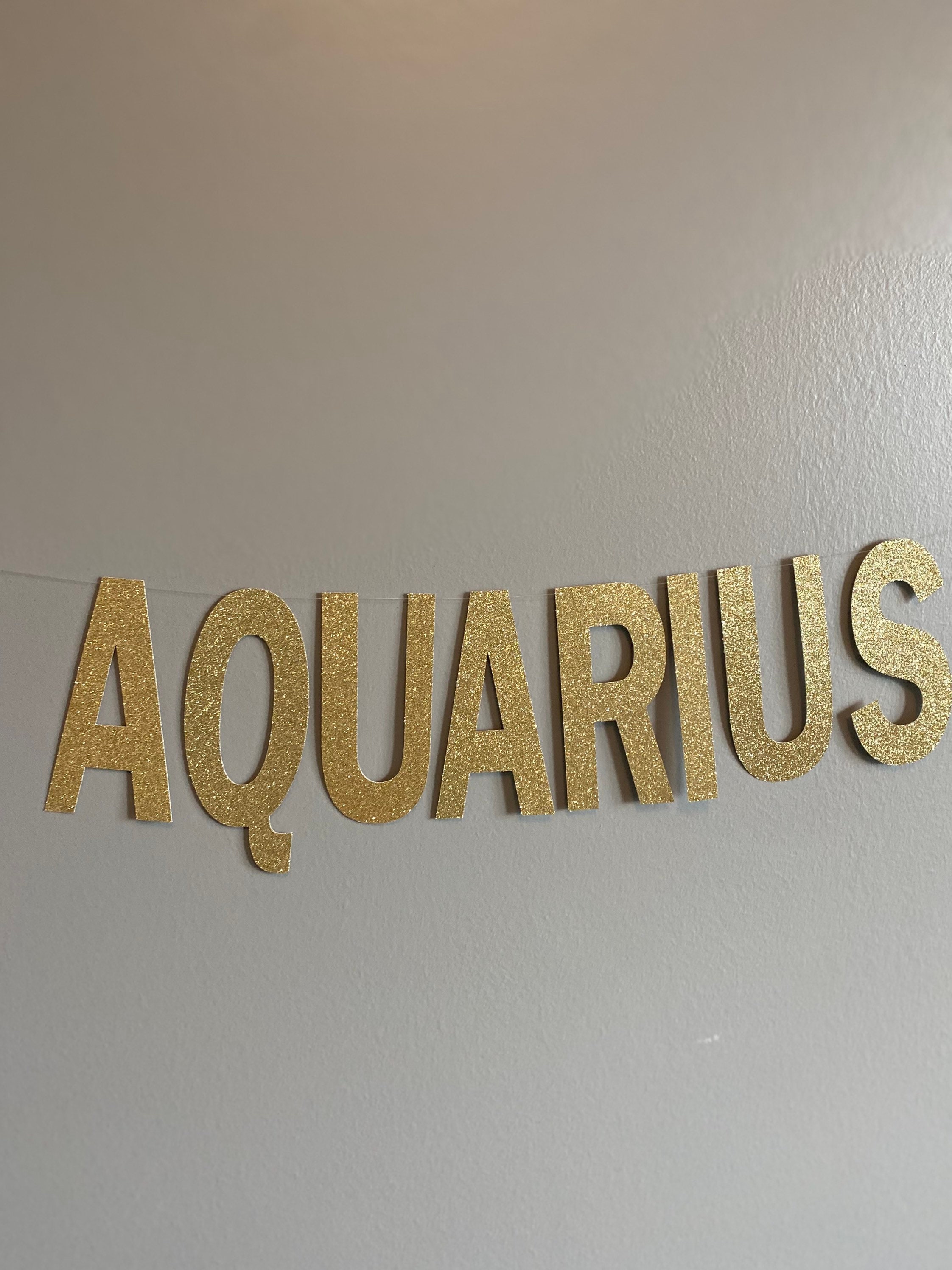 21st Birthday Decorations Big Aquarius Energy Banner - Etsy