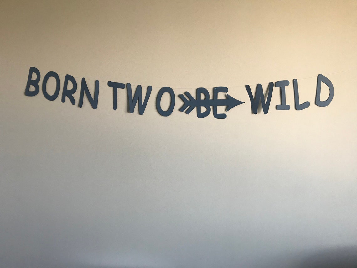 Born Two Be Wild Banner: Second Birthday Party Decor - Etsy