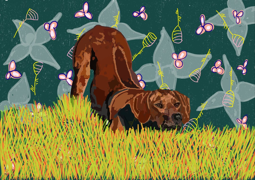 Rhodesian Ridgeback Art Print · Prints · Rhodesian Ridgeback Art ...