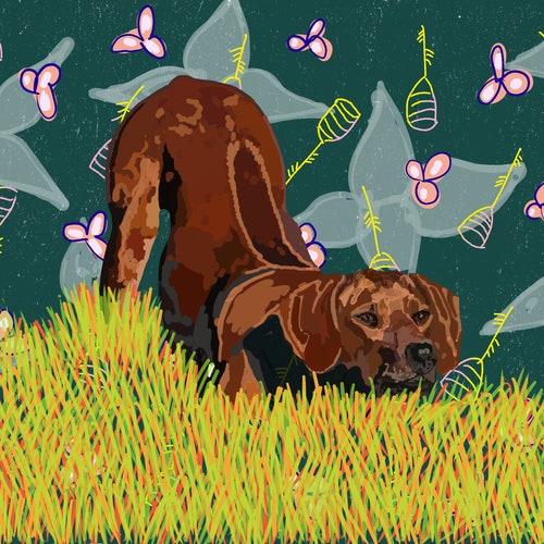 Rhodesian Ridgeback Magnet Lions Tigers Bears Whatever | Etsy