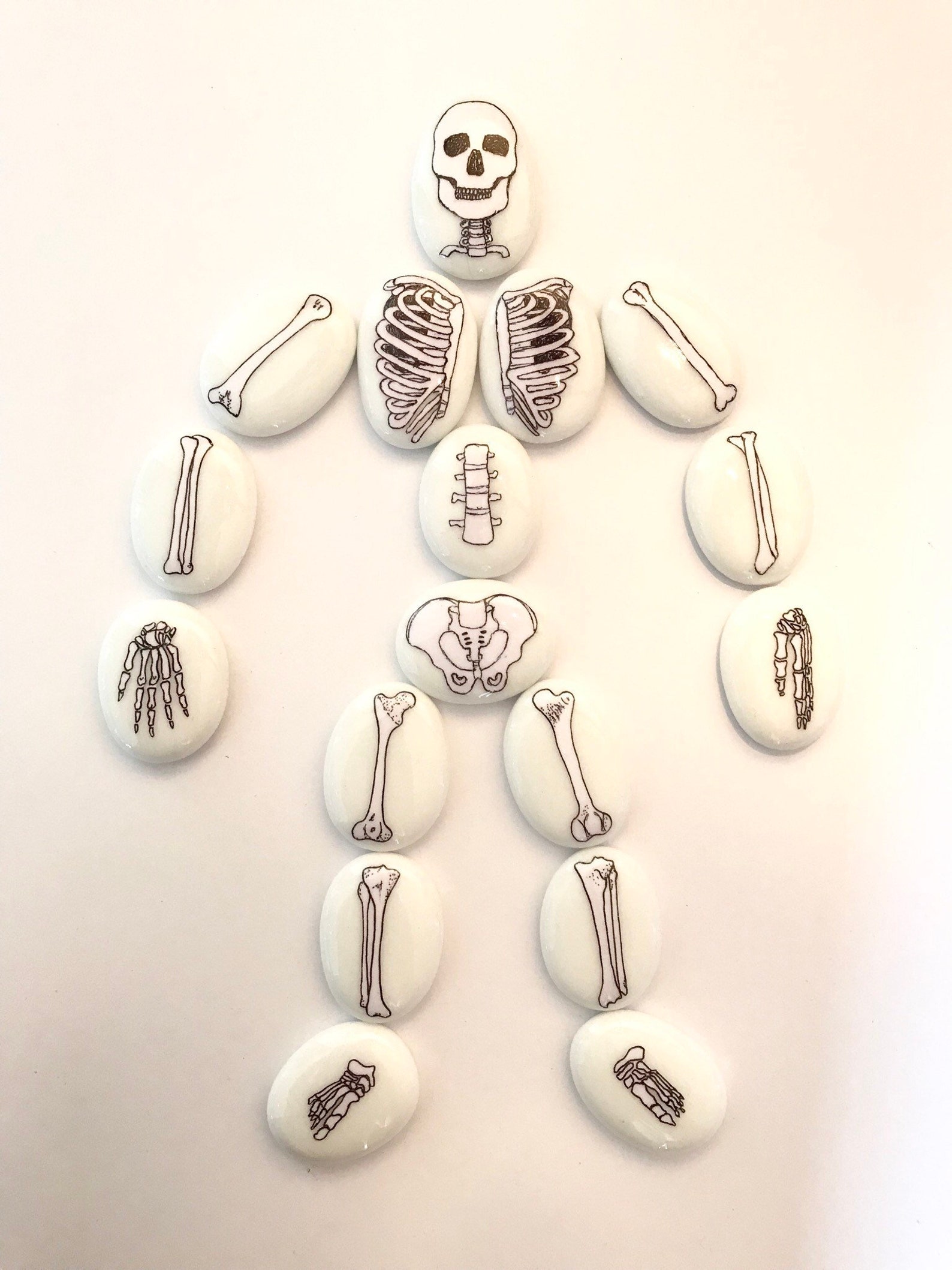 Skeleton Human Skeleton Puzzle Halloween Story Stones - Etsy