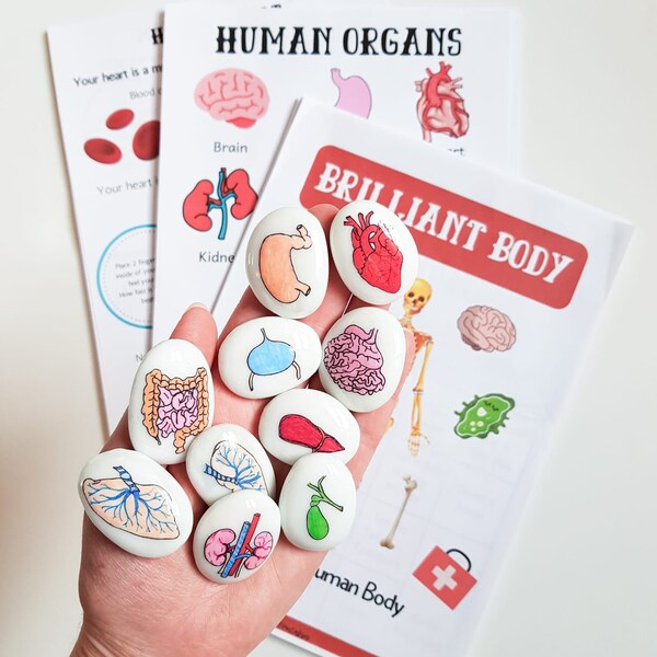 Human Body Puzzle - Etsy