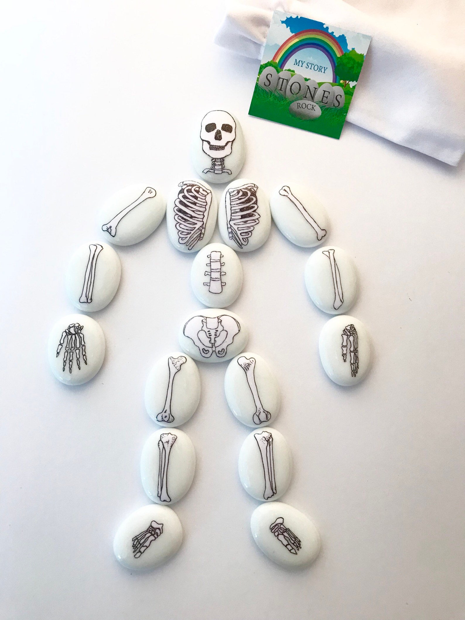 Skeleton Human Skeleton Puzzle Halloween Story Stones - Etsy