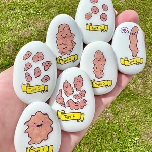 Bristol Stool Chart, Poo, Stool, Pebbles, Gift, Story Stones ...