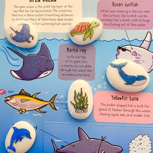 Under the Sea, Ocean, Story Stones, Sea-life, Sea, Shark, Whale ...