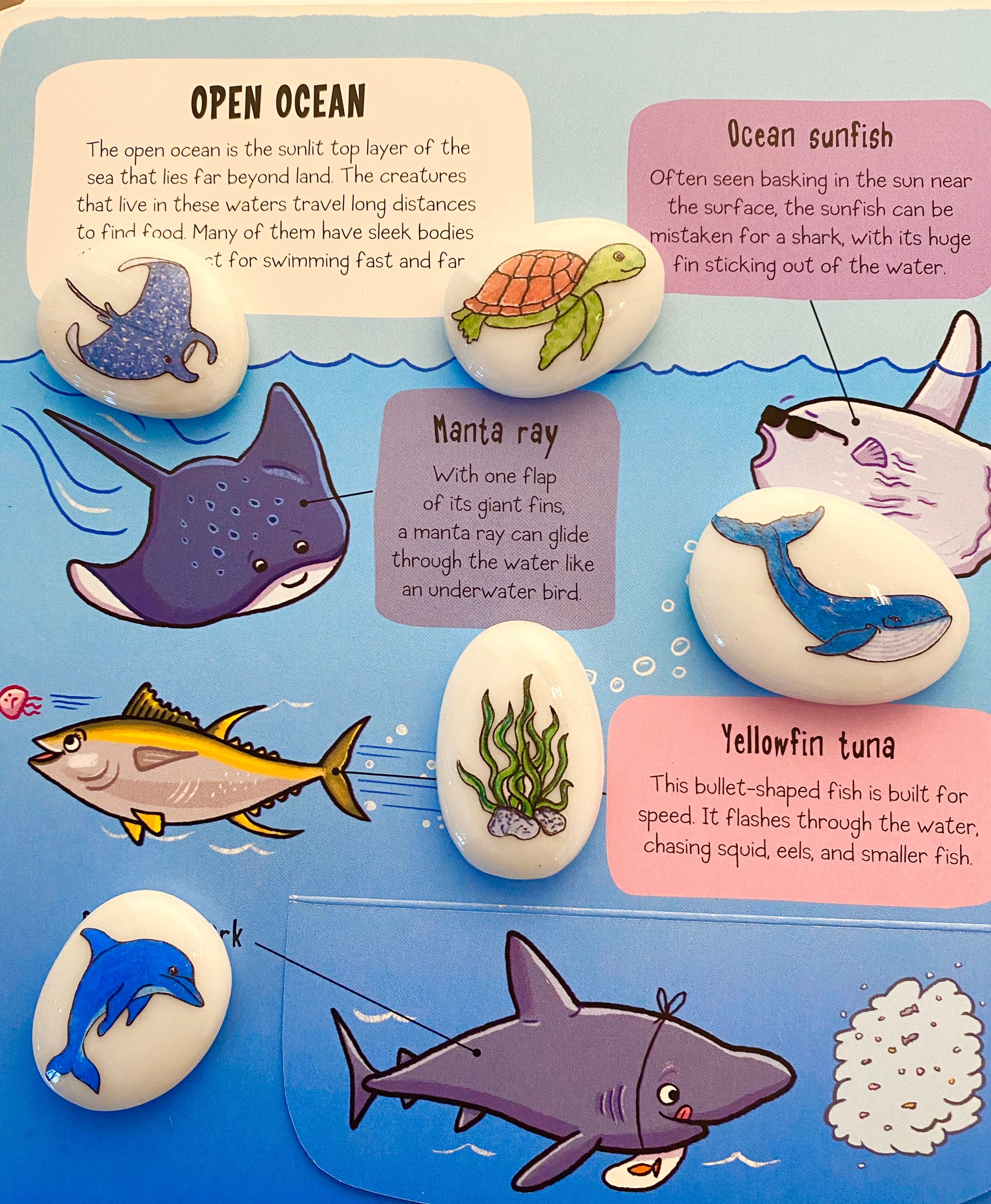 Under the Sea Ocean Story Stones Sea-life Sea Shark - Etsy