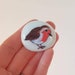 Robin, Friendship, Good Luck, Keepsake, Stone, Gift, Present, Momento ...
