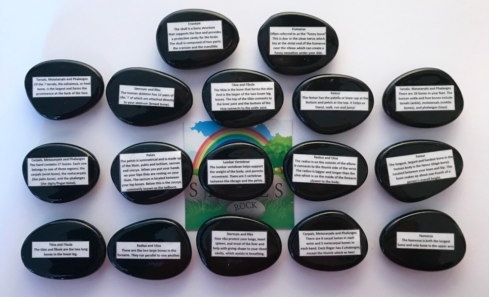 Skeleton Human Skeleton Puzzle Halloween Story Stones - Etsy