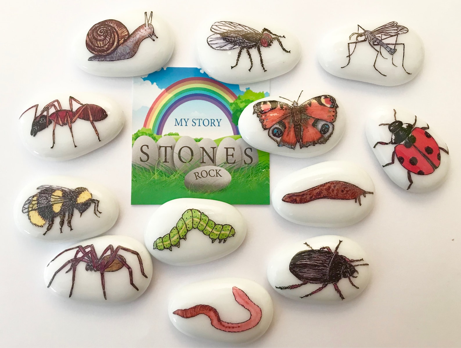 Mini Beasts, Insects, Nature, Wildlife, Story Stones, Story Sack ...