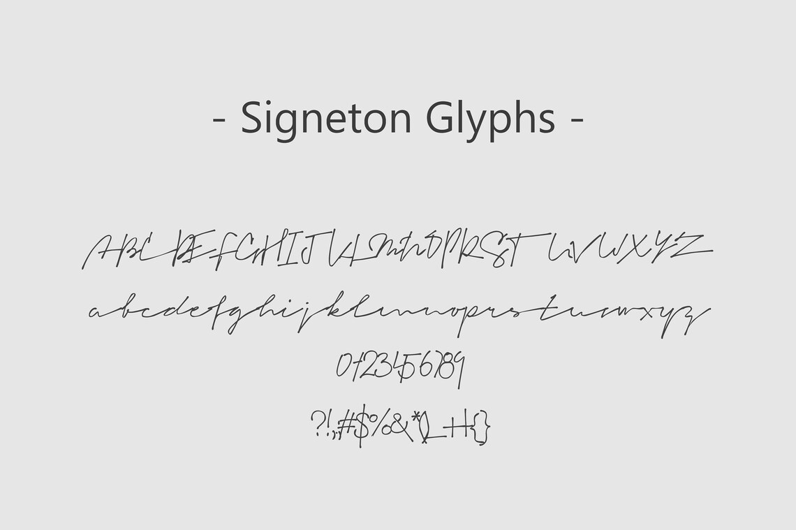 Signeton Font Signature Script - Etsy