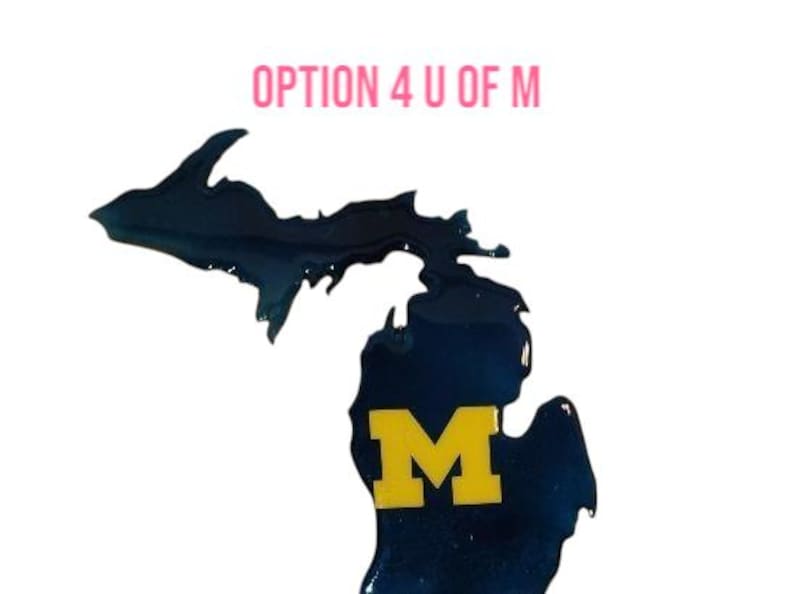 Michigan Sunset Epoxy Wall Art – Handmade Resin Decor With Petoskey ...