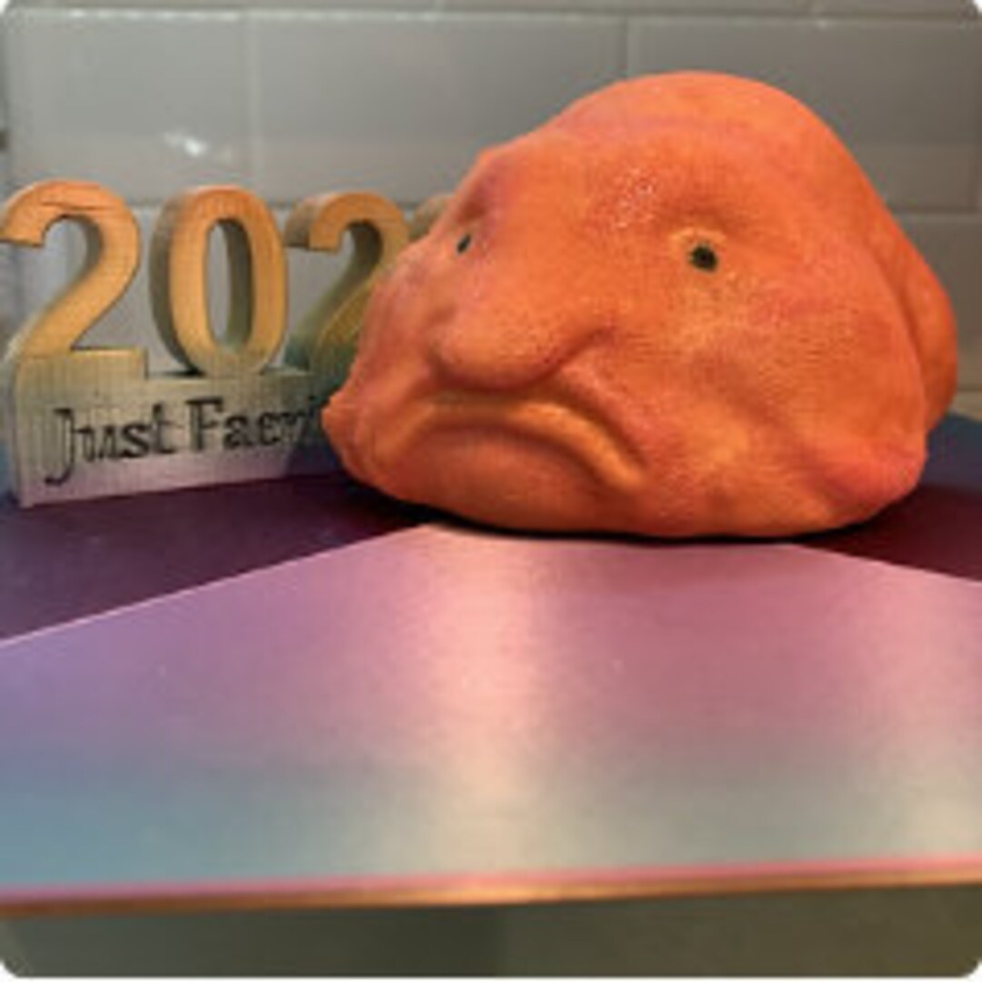 MOLD - Blob Fish Plastic Bath Bomb Mold - 6.25 Oz - Etsy