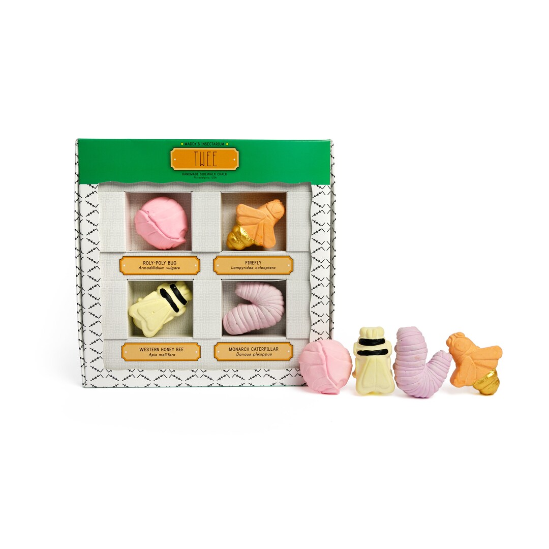 TWEE Maddy's Insectarium Handmade Sidewalk Chalk Kid Gift Present Party ...