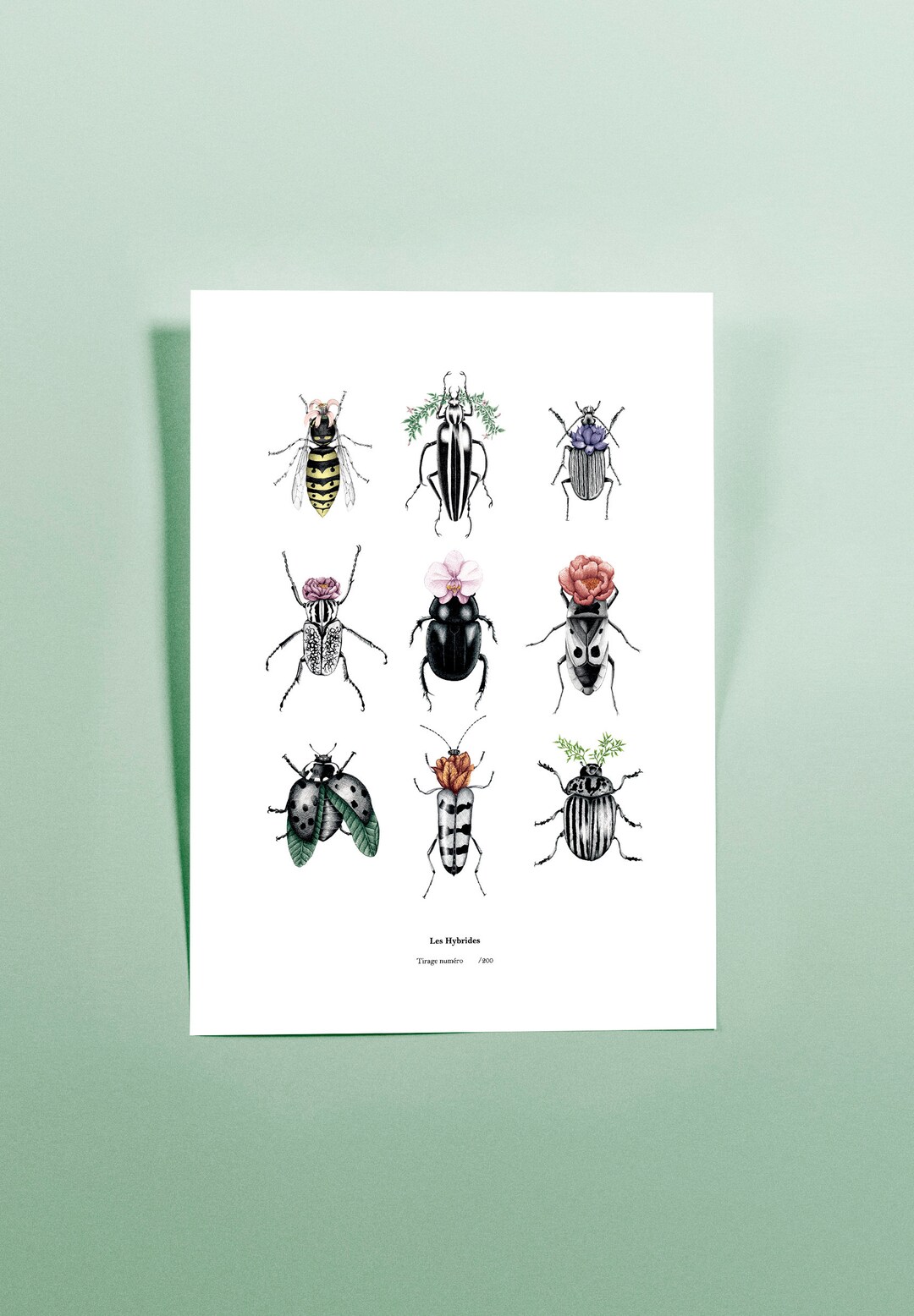 Poster Botanical Illustration Insects and Hybrid Plants - Etsy