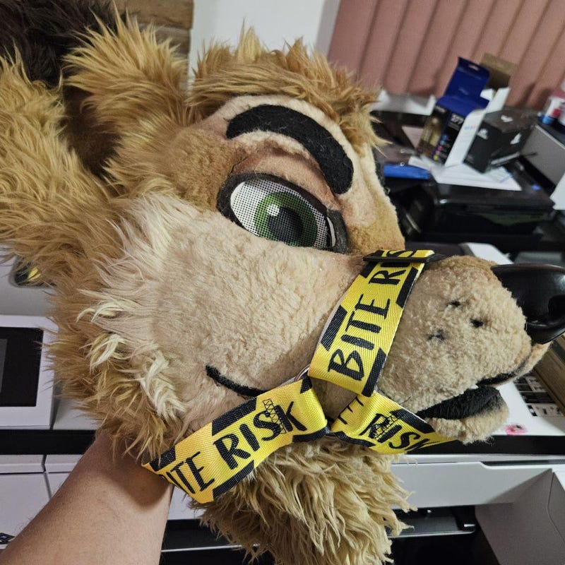 Female Fursuit - Etsy
