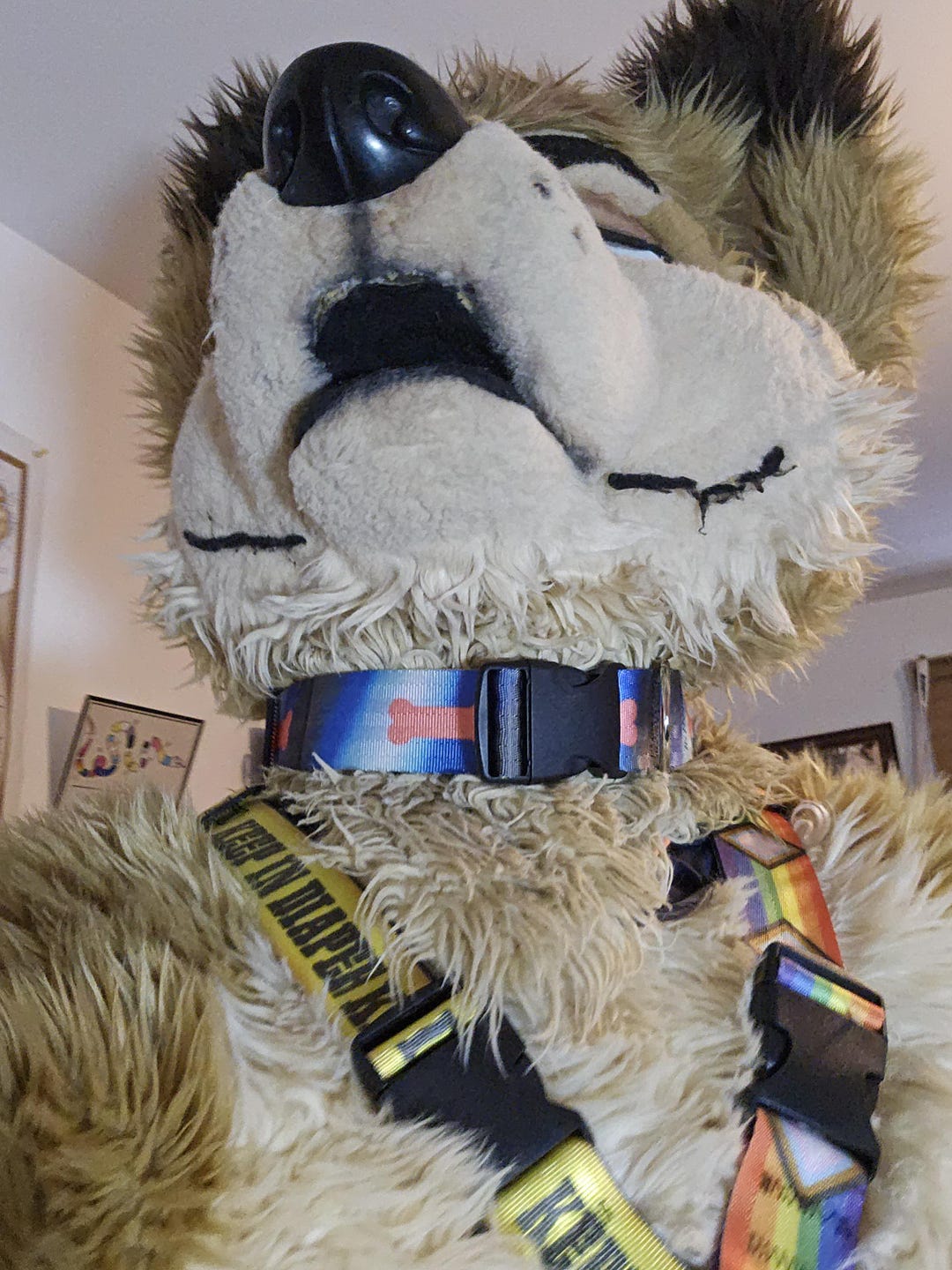 Custom Nylon Fursuit Collars - Variety of Pre-made Designs or Send Me ...