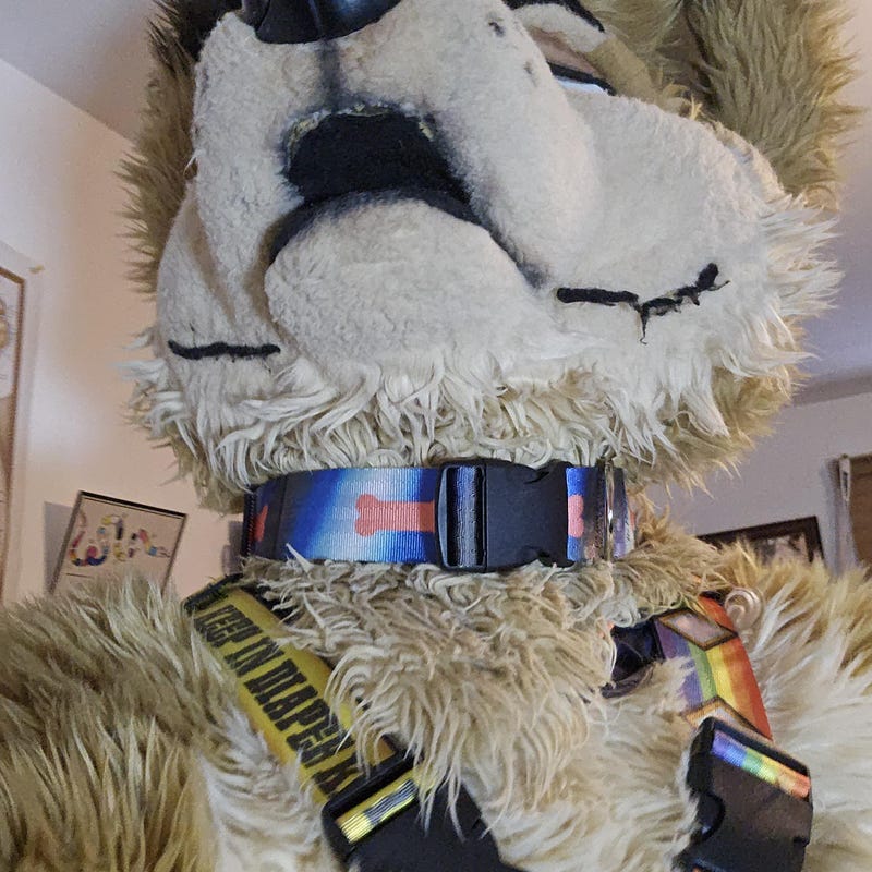 Manokit Fursuit - Etsy