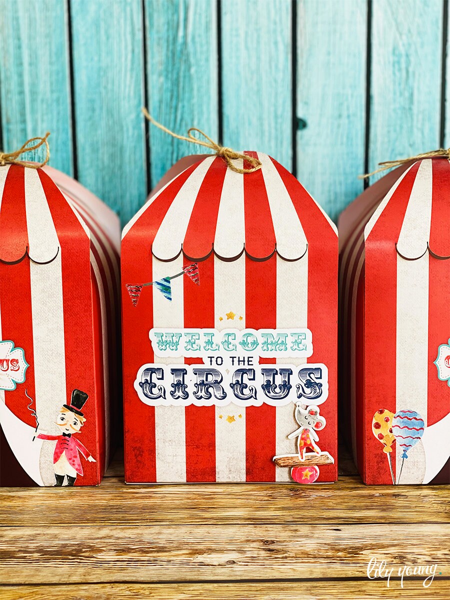 Pack of 12 Circus themed party box Circus party Circus | Etsy
