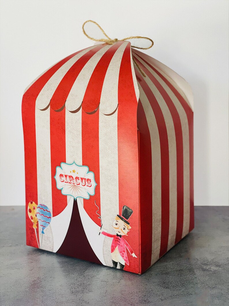 Pack of 24 Circus Party Box Circus Party Circus Carnival - Etsy UK