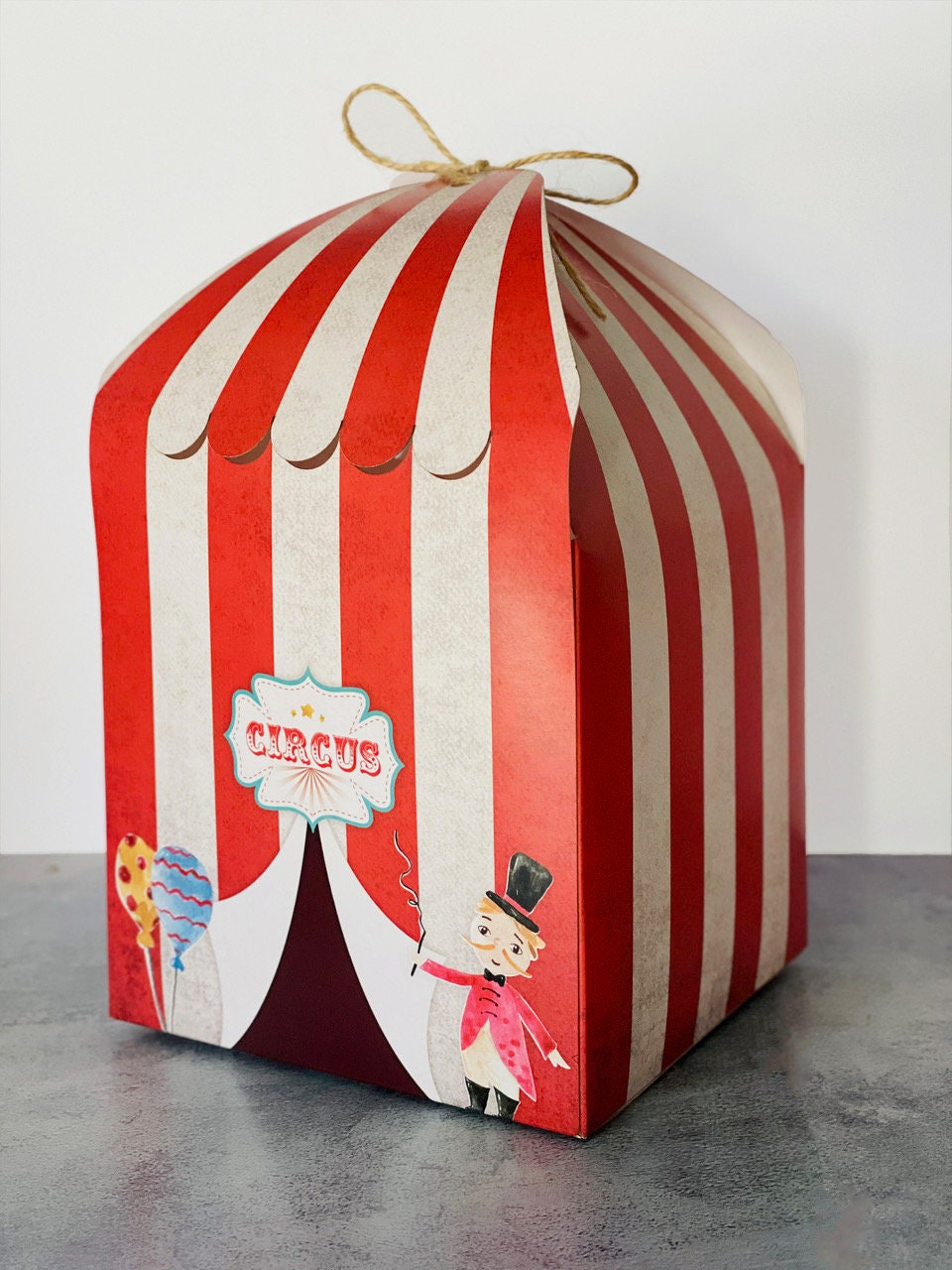 Pack of 12 Circus themed party box Circus party Circus | Etsy