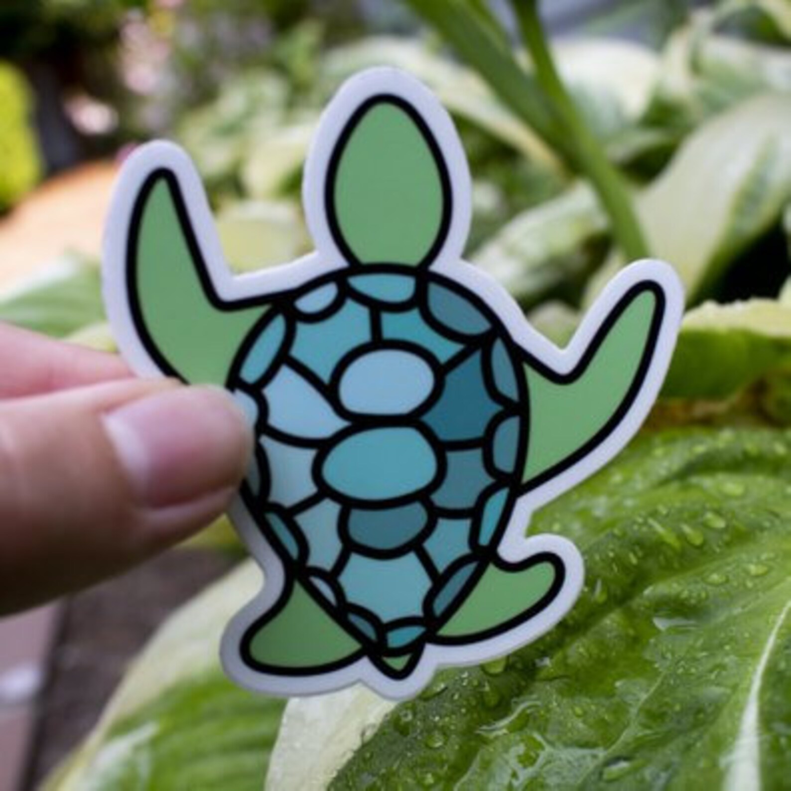 Hawaii Sea Turtle Sticker Hawaii Sticker Laptop Sticker - Etsy