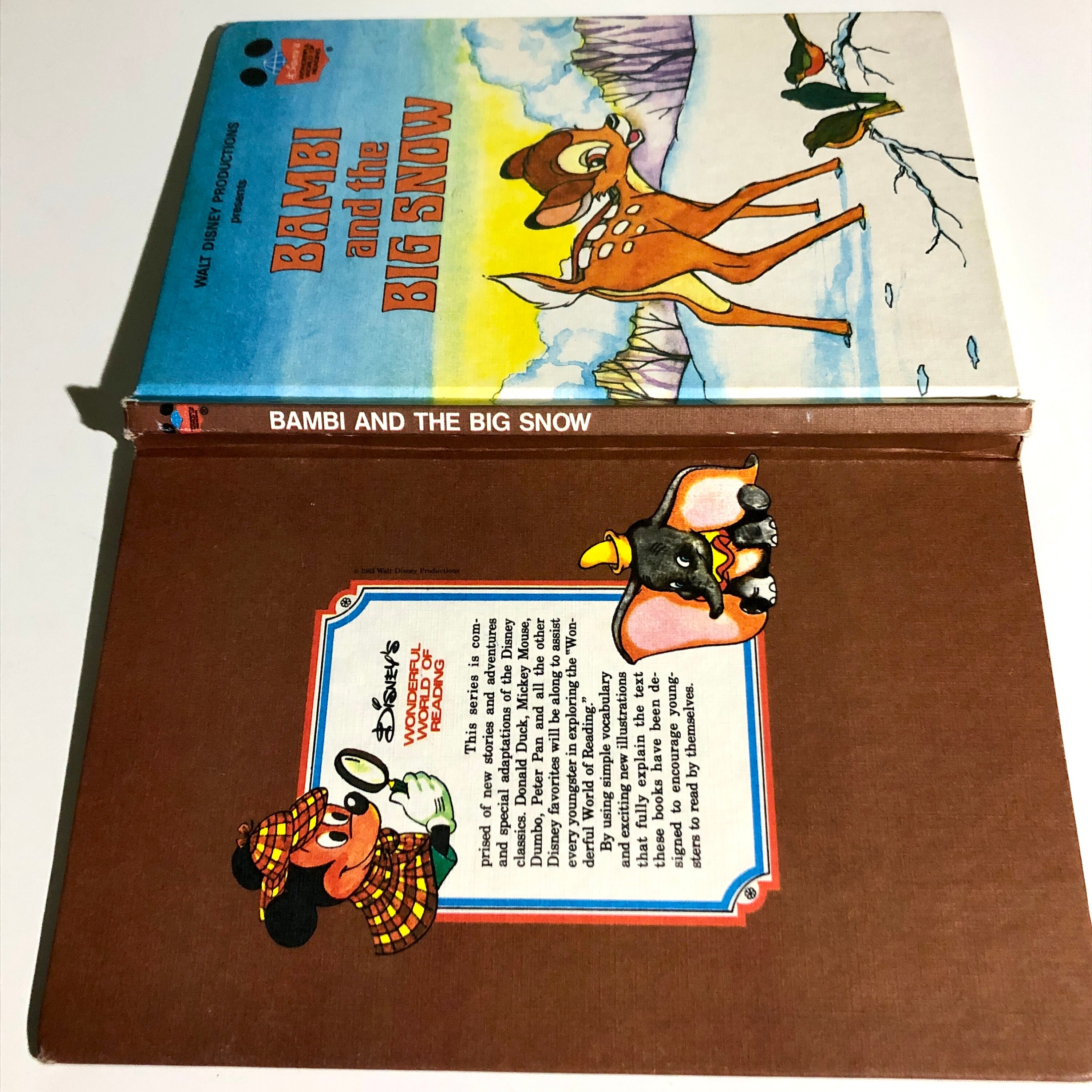 1983 the Wonderful World of Reading Walt Disney Productions | Etsy