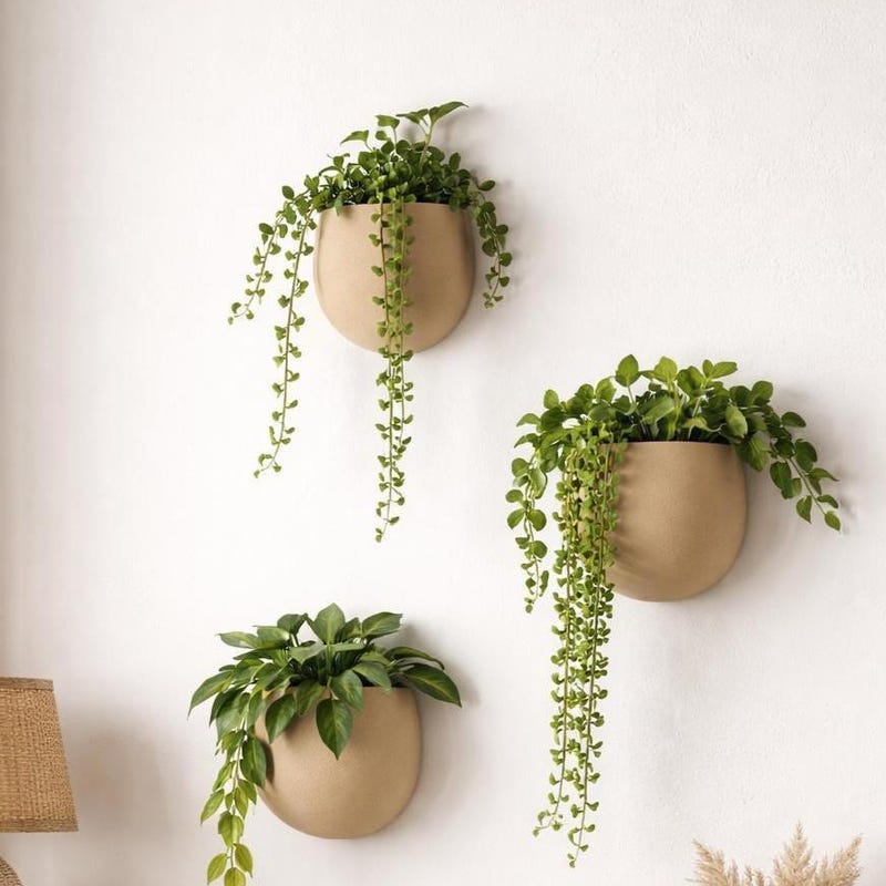 Wall Mount Round Planter - Etsy