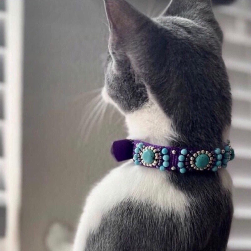 Pet Collars - Etsy