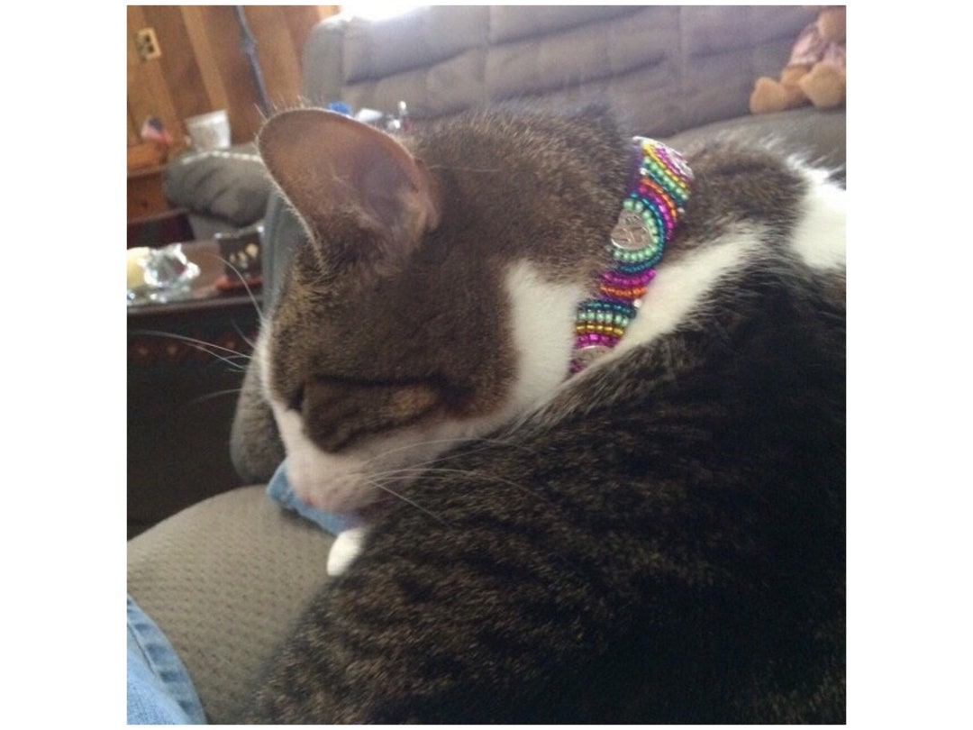 Rainbow Cat Collar, Rainbow Pet Collar, Beaded Cat Collar, Fancy Cat ...