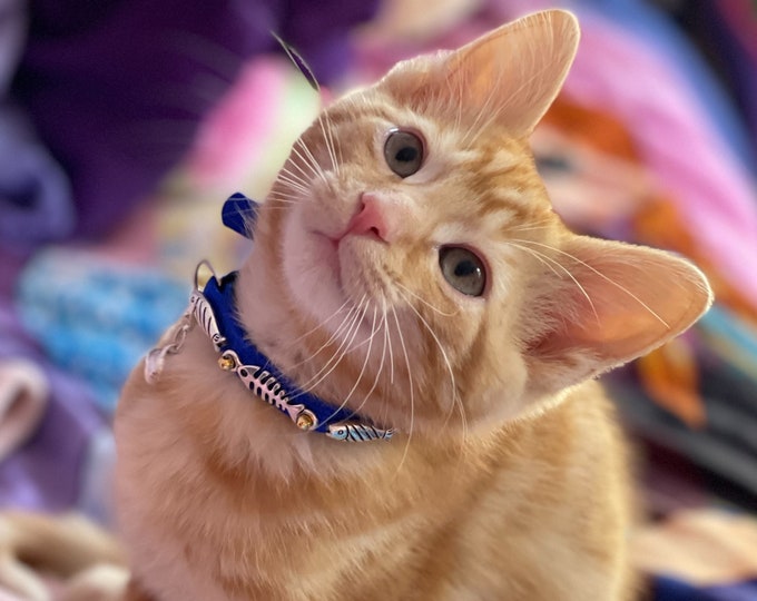 Fish Cat Collar, Fish Bone Cat Collar, Fancy Cat Collar, Boy Cat Collar ...
