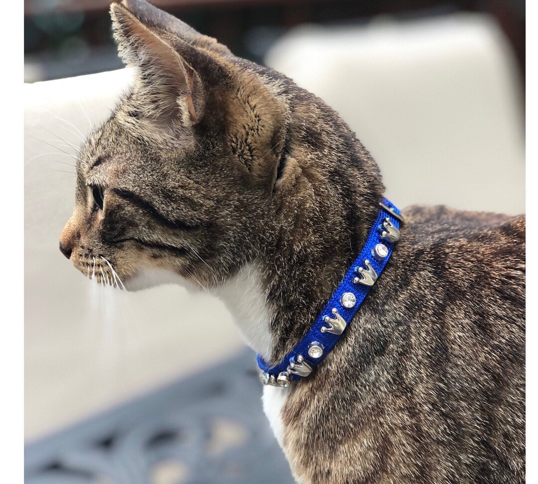 Crown Cat Collar, Crown Kitten Collar, Bling Cat Collar, Fancy Cat ...