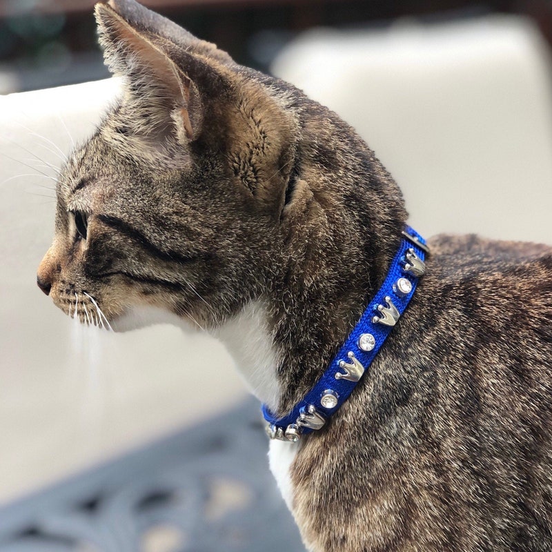 Fancy Cat Collar - Etsy