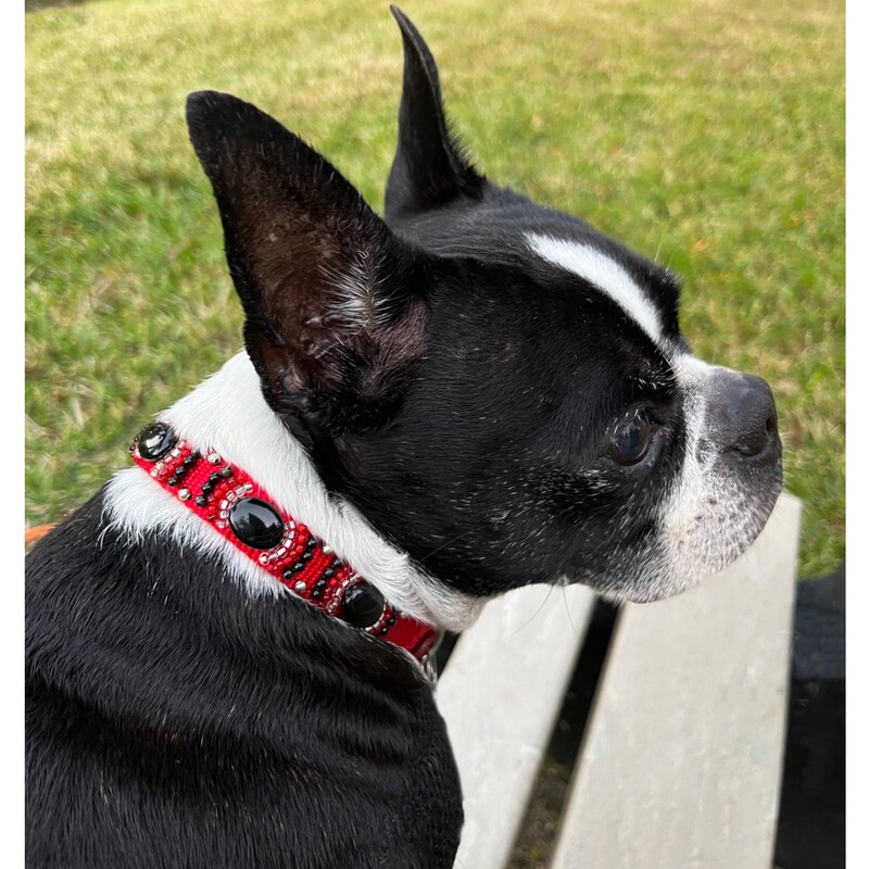 Crystal Dog Collar - Etsy