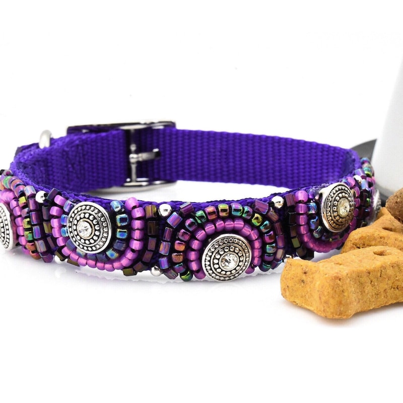 Female Dog Collar - Etsy