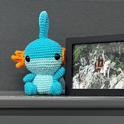 Crochet Mudkip - Etsy