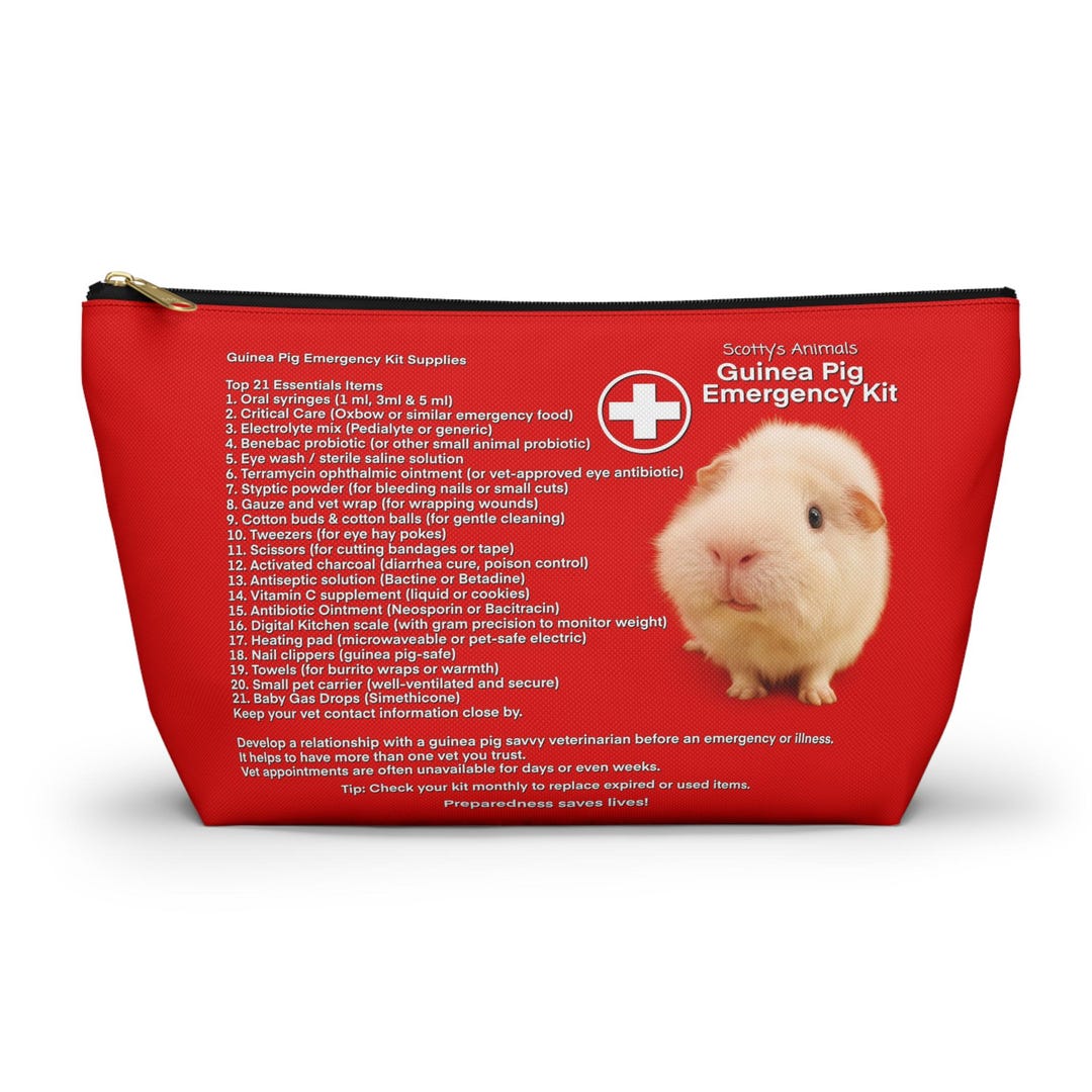 Bag for Guinea Pig Emergency Kit, Flat Bottom - Etsy