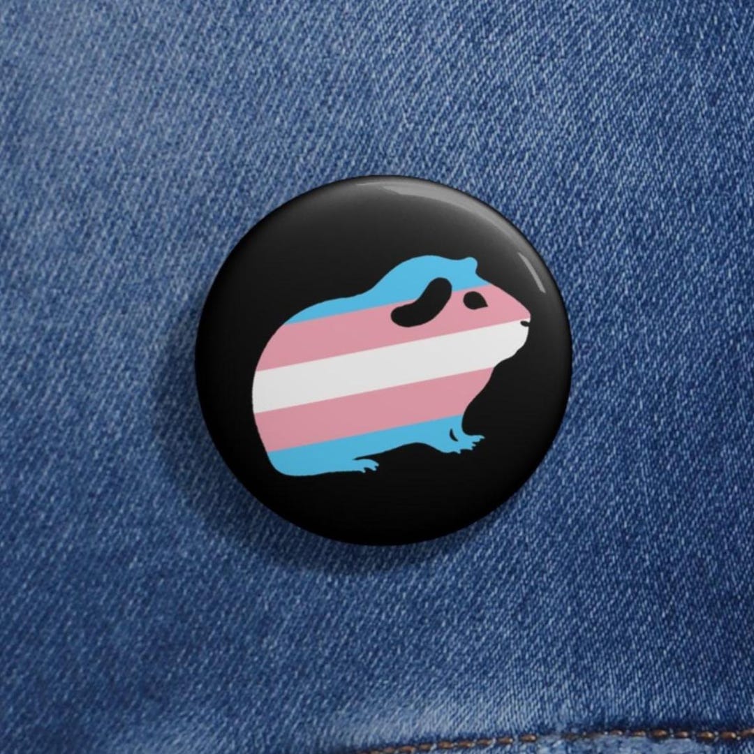Trans Flag Guinea Pig Pin - Etsy