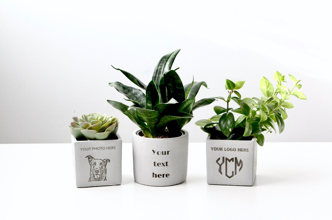 Laser Engraved Personalized Concrete Planter Pot | Custom Photo Logo ...